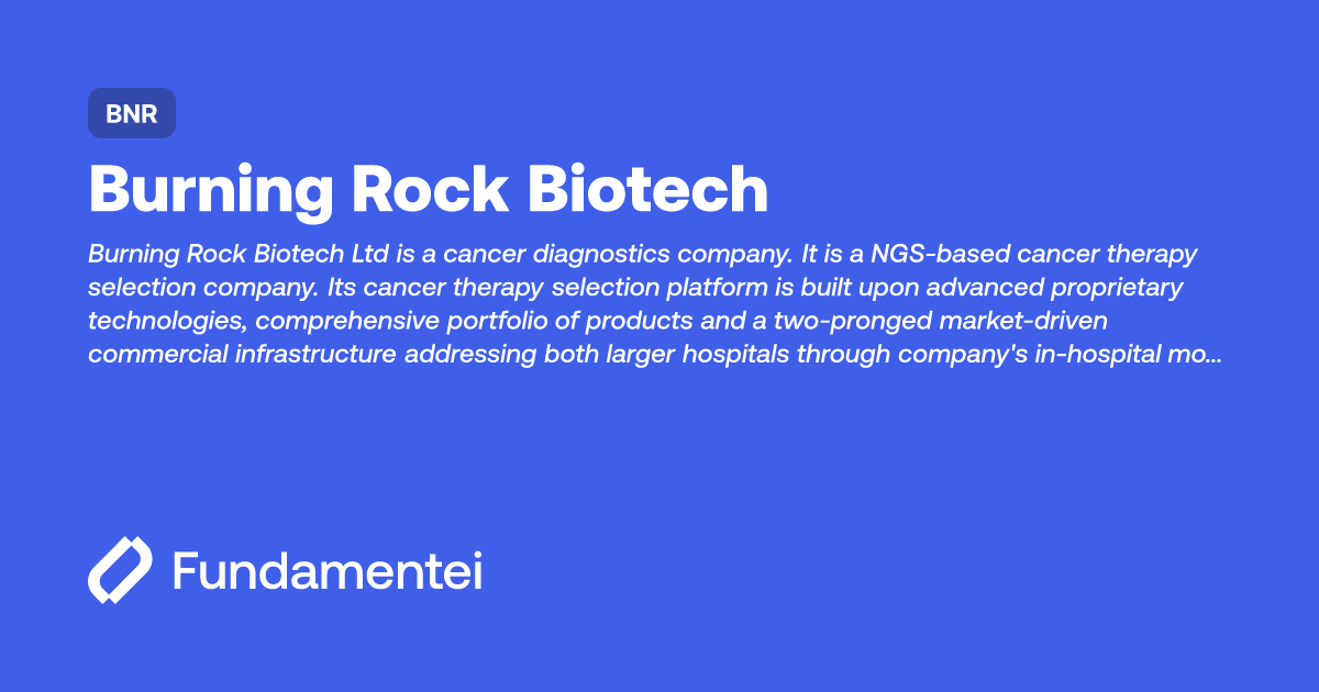 BNR - Burning Rock Biotech | Fundamentei