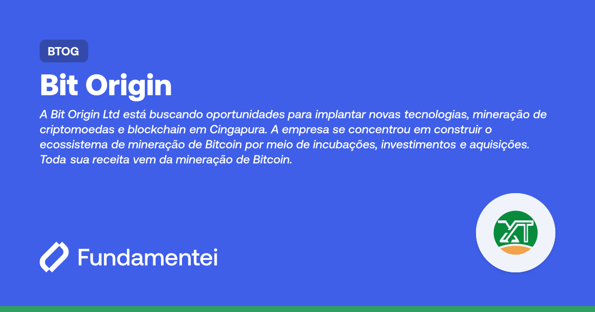 BTOG - Bit Origin | Fundamentei