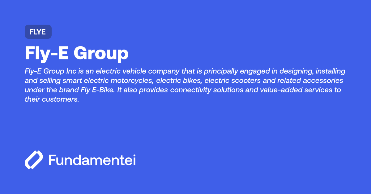 FLYE - Fly-E Group | Fundamentei