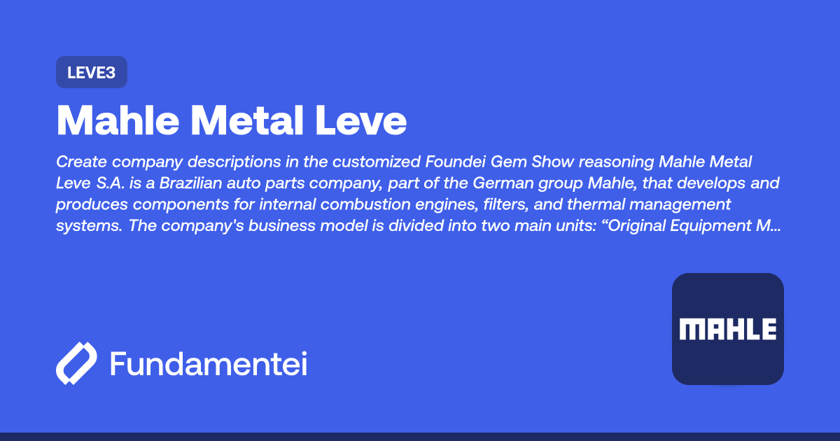 LEVE3 - Mahle Metal Leve | Fundamentei