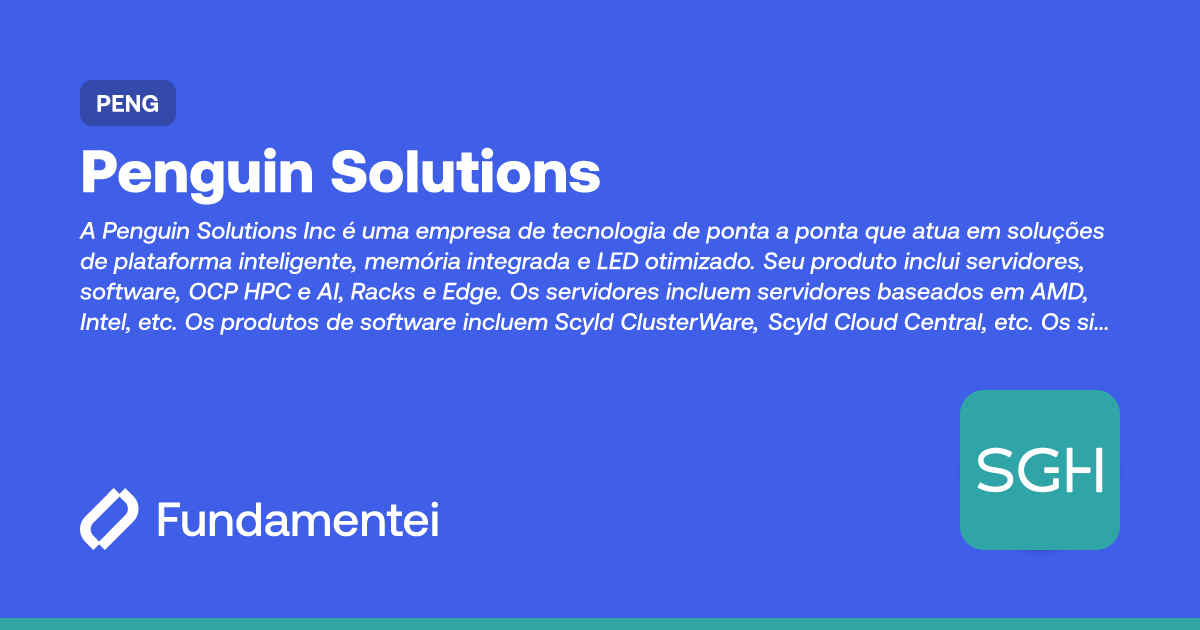 PENG - Penguin Solutions | Balanços | Fundamentei