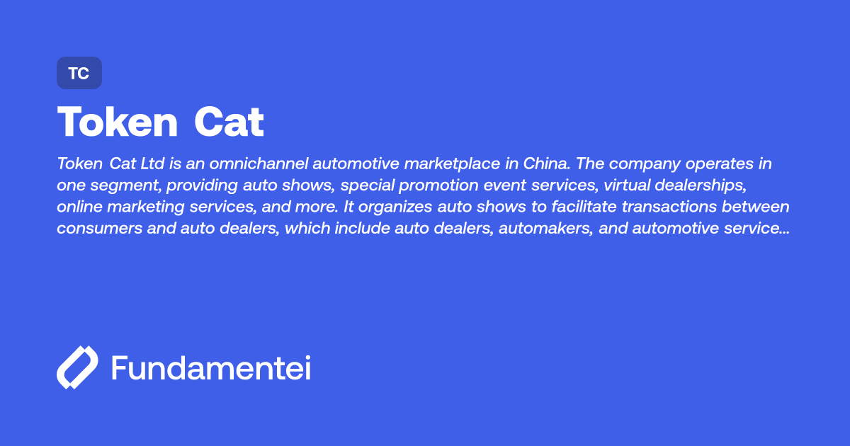 TC - Token Cat | Fundamentei