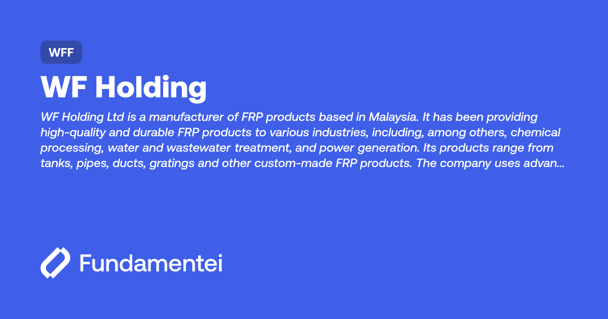 WFF - WF Holding | Fundamentei
